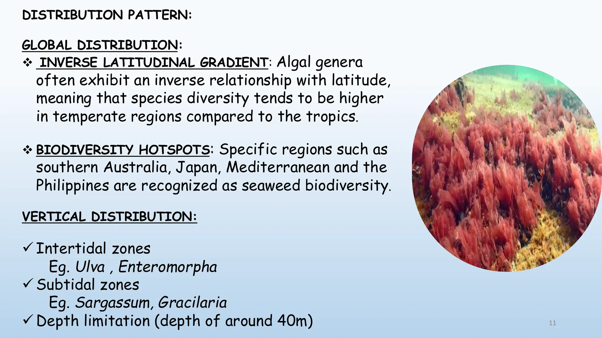 Distribution of algae and it's habitat.pdf