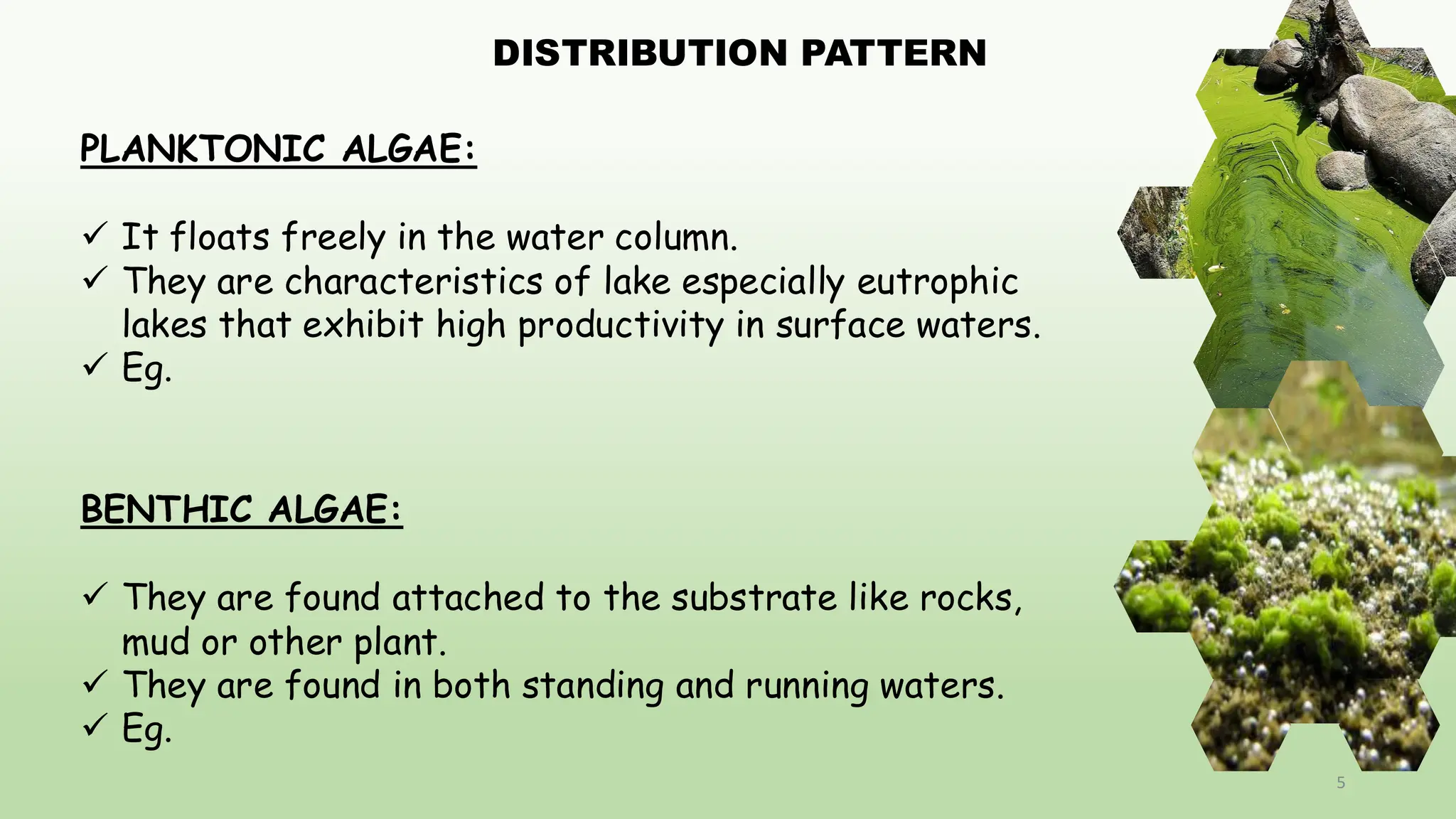 Distribution of algae and it's habitat.pdf