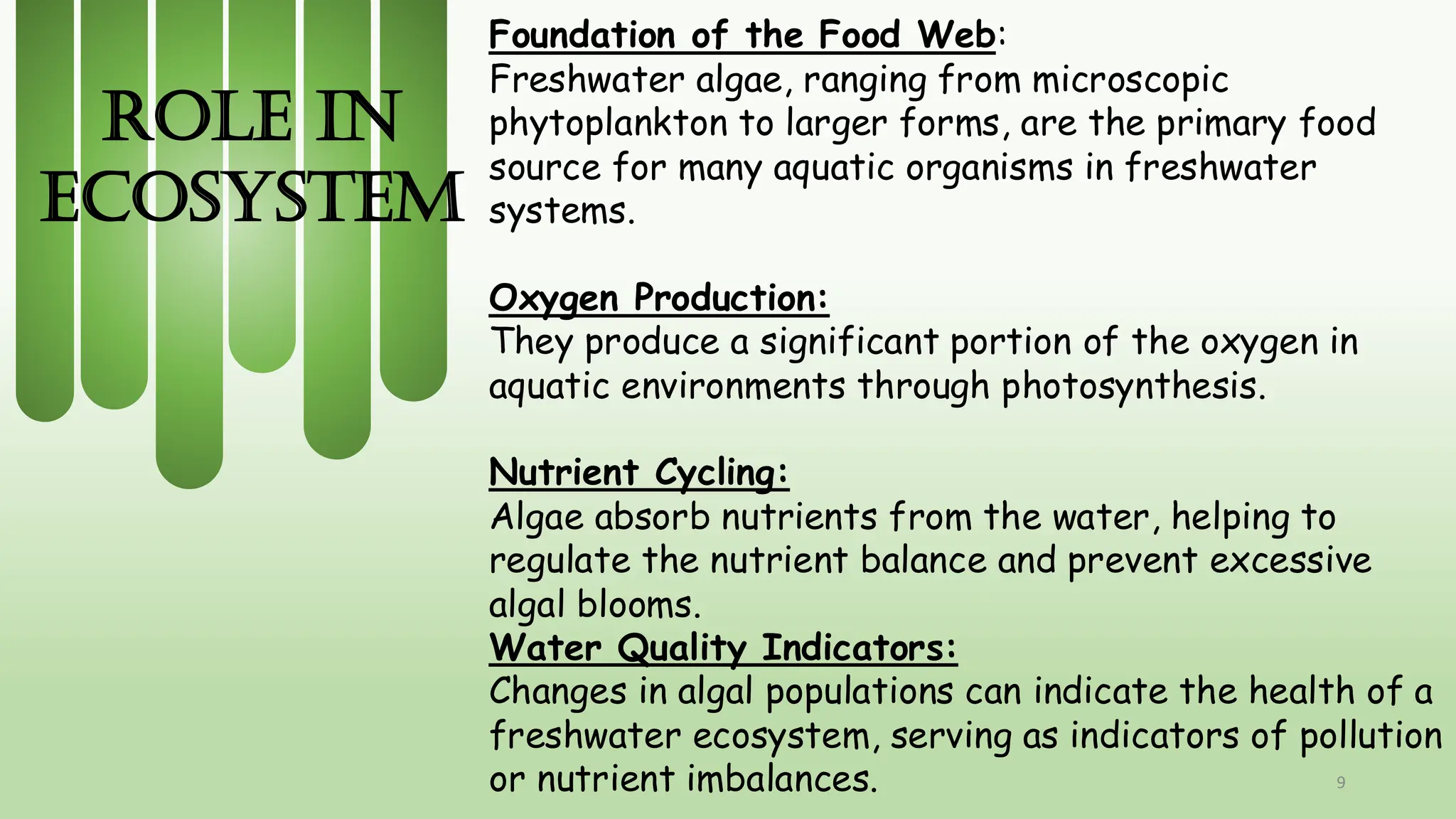 Distribution of algae and it's habitat.pdf