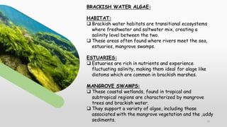 Distribution of algae and it's habitat.pdf