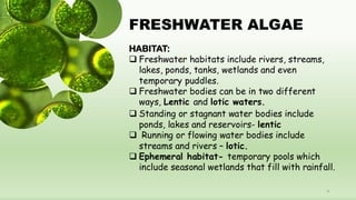 Distribution of algae and it's habitat.pdf