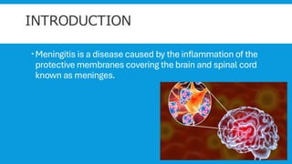 Power point presentation on Meningitis . | PDF