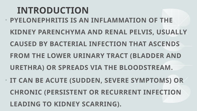 Pyelonephritis in ahn and pathology..pptx