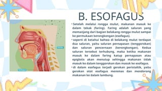 Presentasi pencernaan makanan Kelas 8 semester 1.pptx