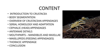 The Appendages of Crustacean.............. | PPTX