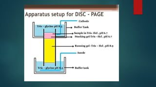 Disc gel electrophoresis introduction history principle types ...