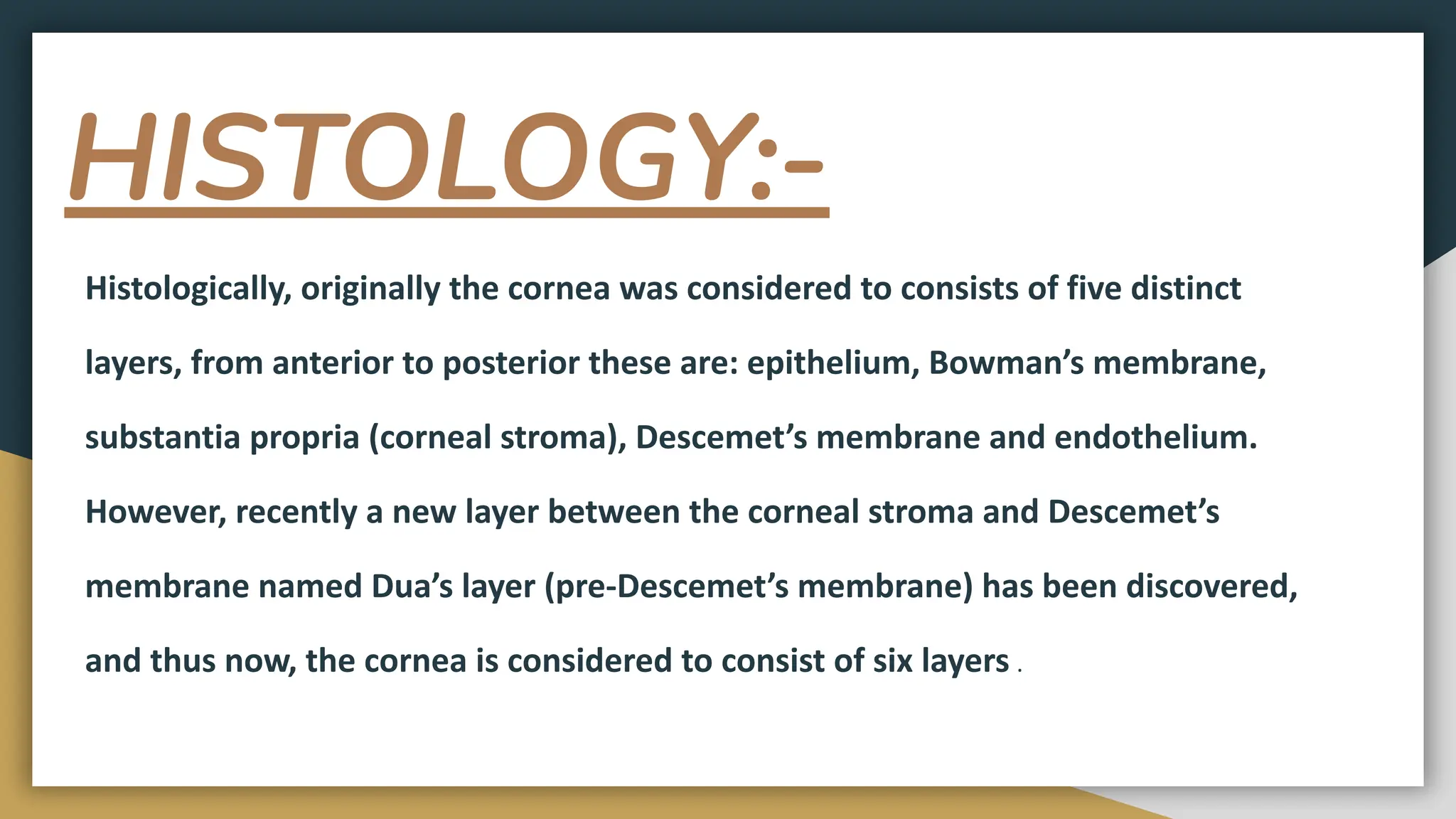 Cornea anatomy ppt eyeball cornea. ..pdf