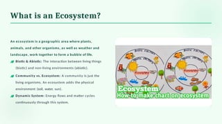 Ecosystem web of life ppt presentation.. | PPTX