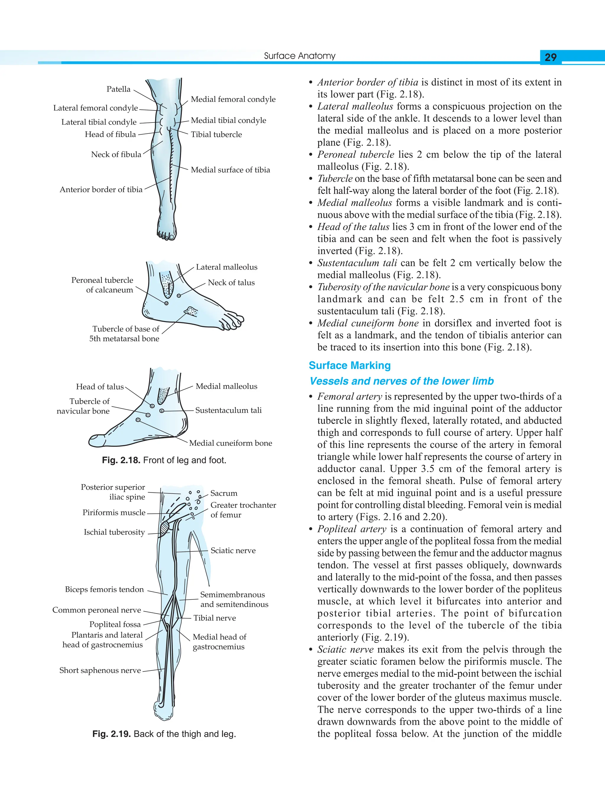 Satish bhargava Sumeet bhargava book 6th edition.pdf