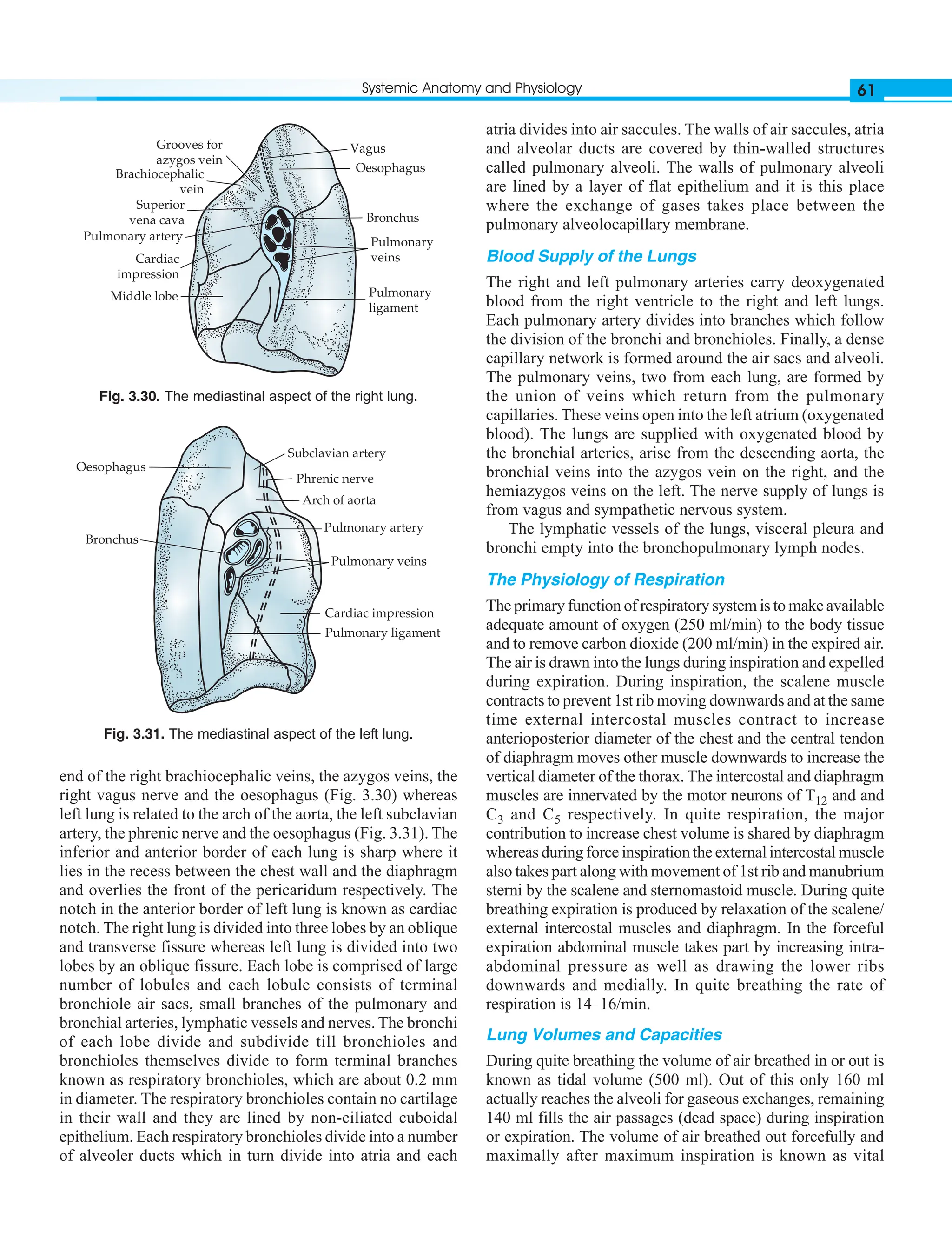 Satish bhargava Sumeet bhargava book 6th edition.pdf