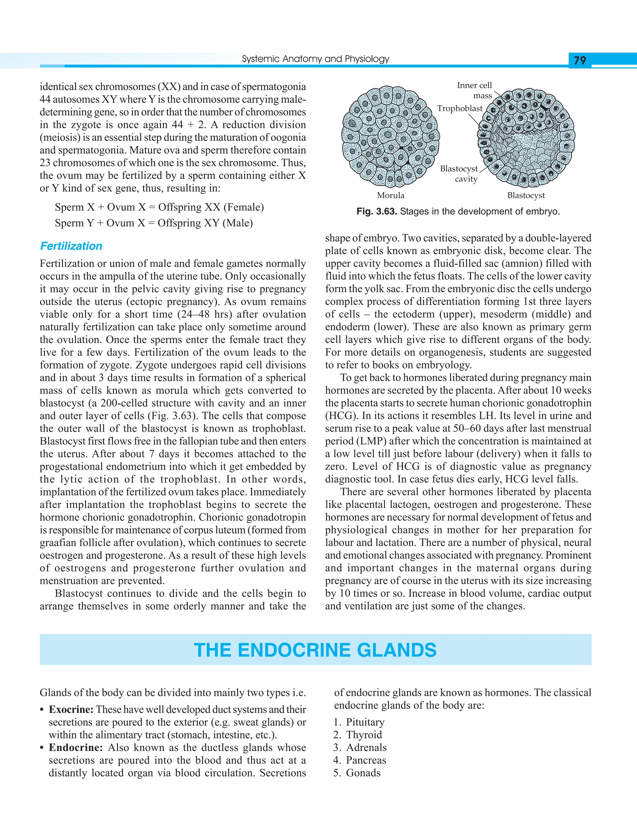 Satish bhargava Sumeet bhargava book 6th edition.pdf