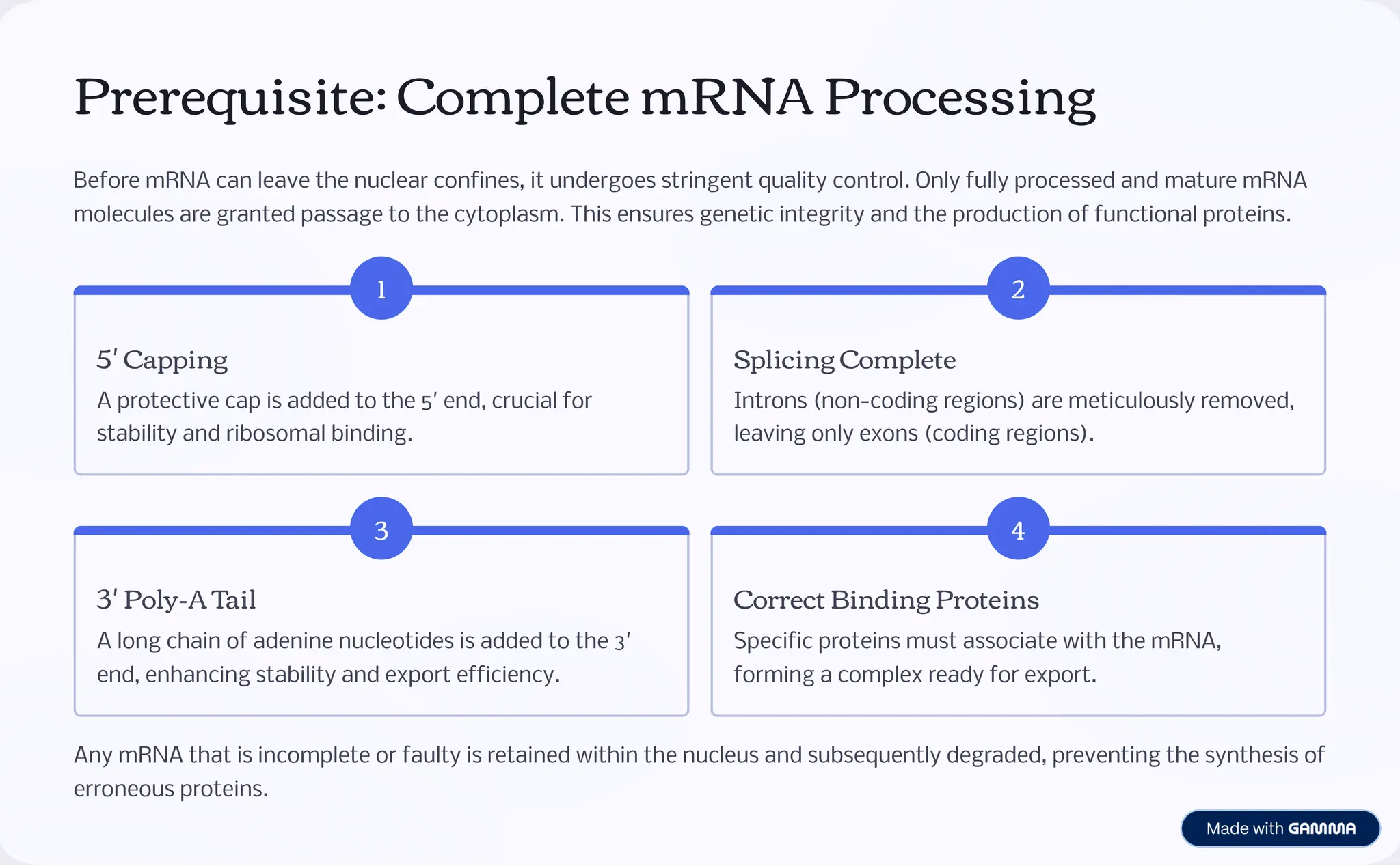 DOC-20251203-WA0051.Nuclear export of mRNA.pdf