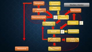 Fatal complications of maxillofacial infection | PPT