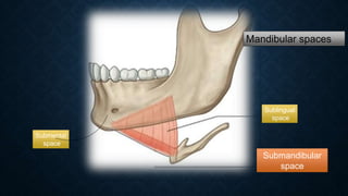 Fatal complications of maxillofacial infection | PPT