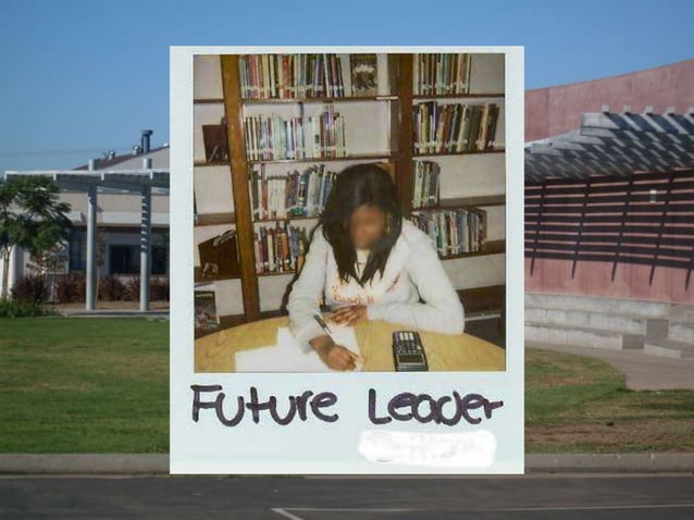 Multiple case studies | PPT