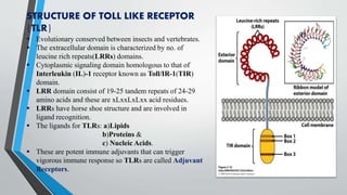 Phagocytosis and tl rs | PPTX
