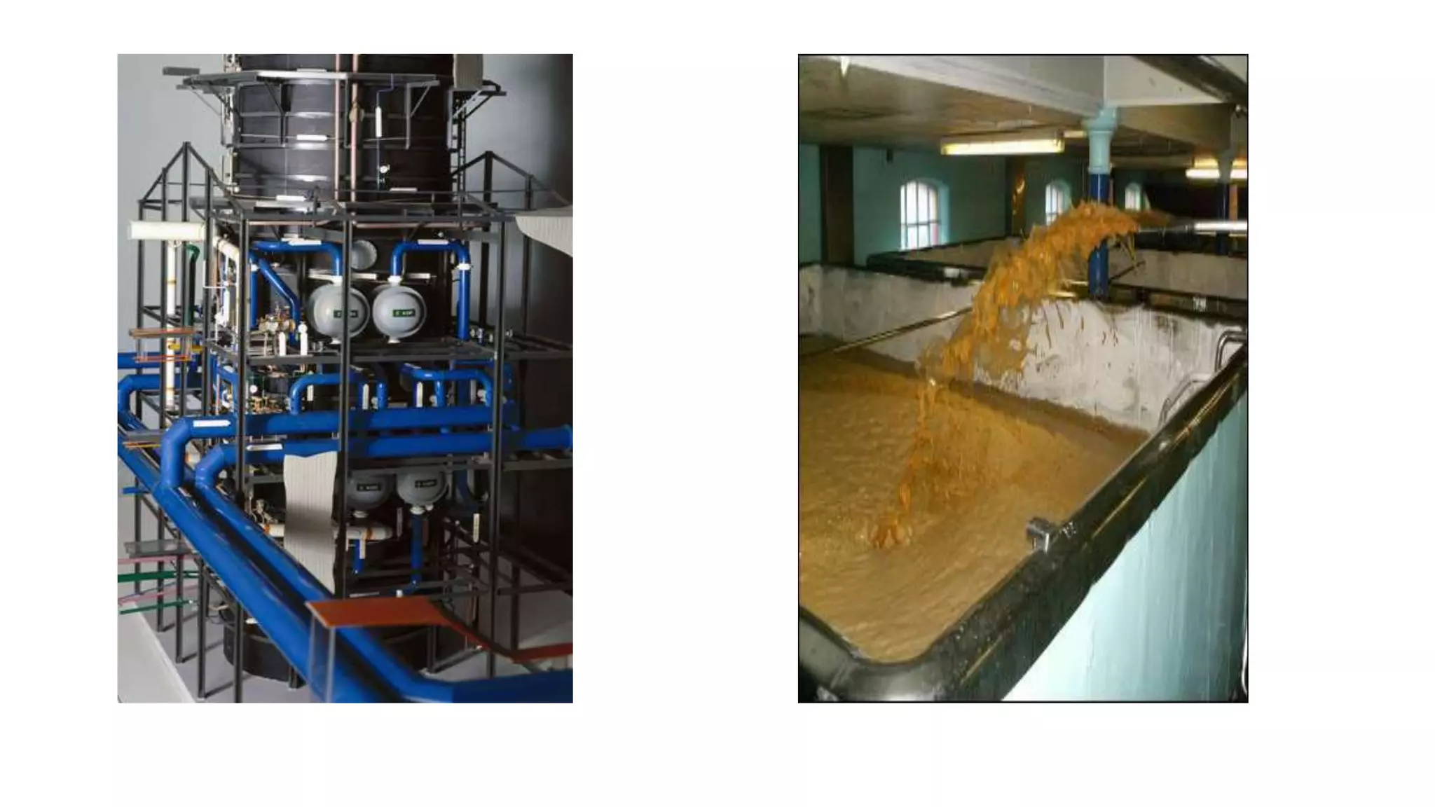 SINGLE CELL PROTEIN | PPTX