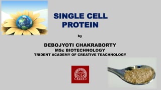 SINGLE CELL PROTEIN | PPTX