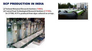 SINGLE CELL PROTEIN | PPTX