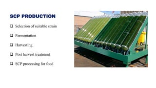 SINGLE CELL PROTEIN | PPTX