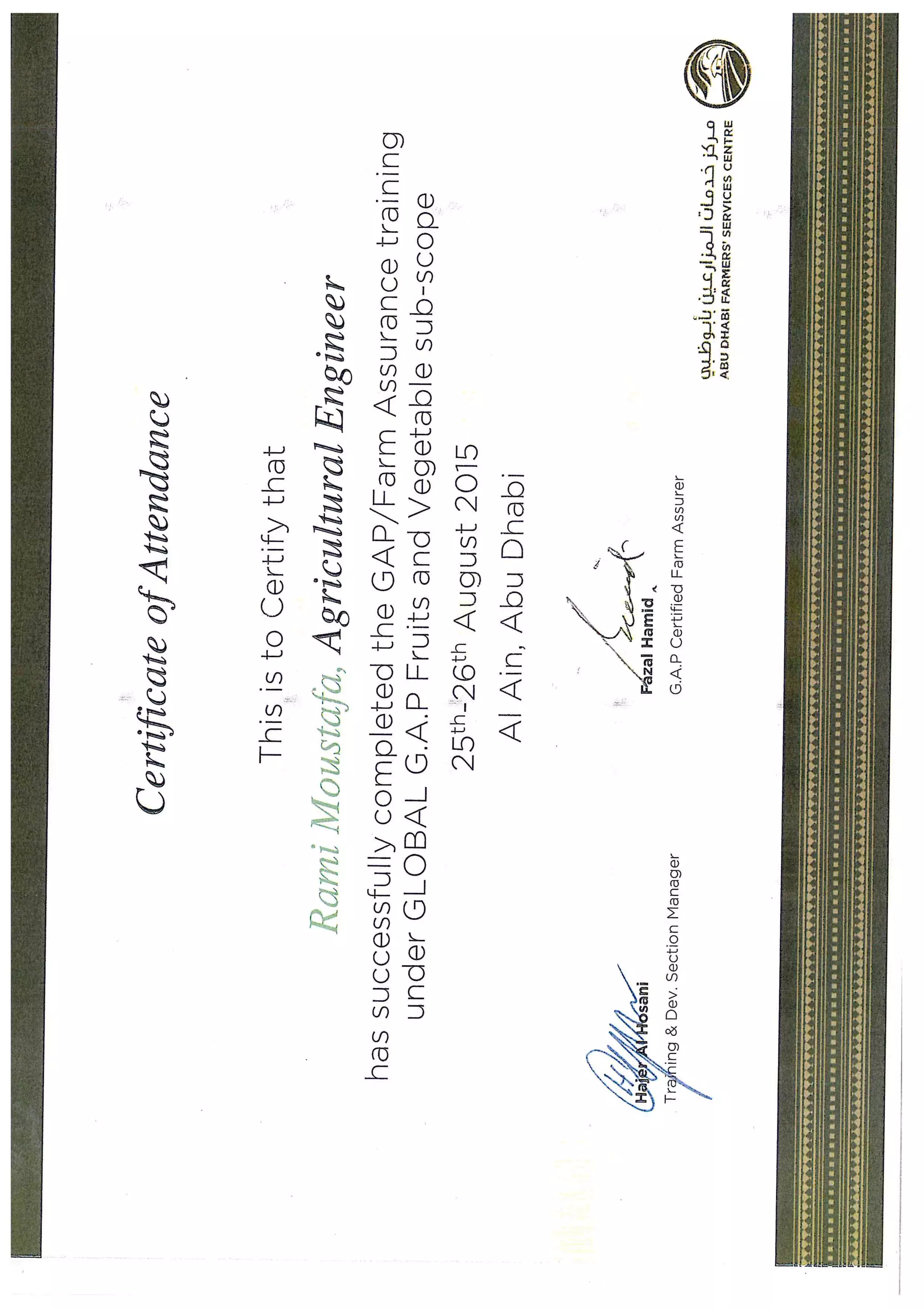 GAP certificate | PDF