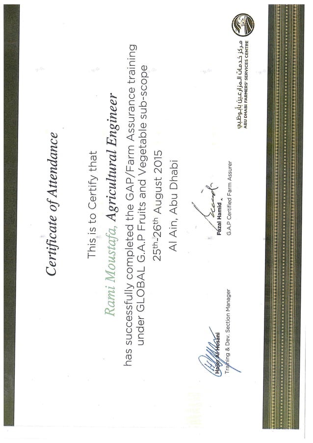 GAP certificate | PDF