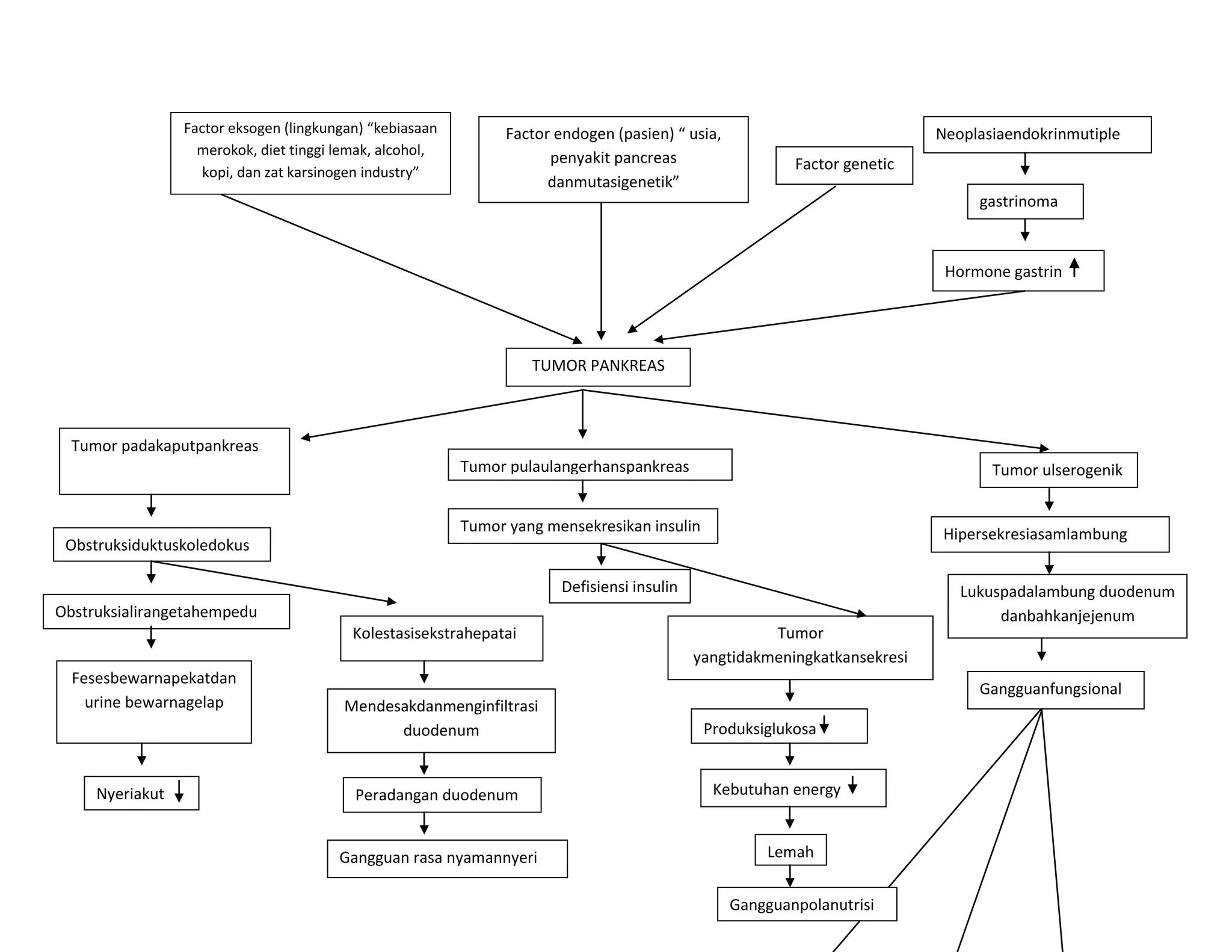woc tumor pankreas | DOCX