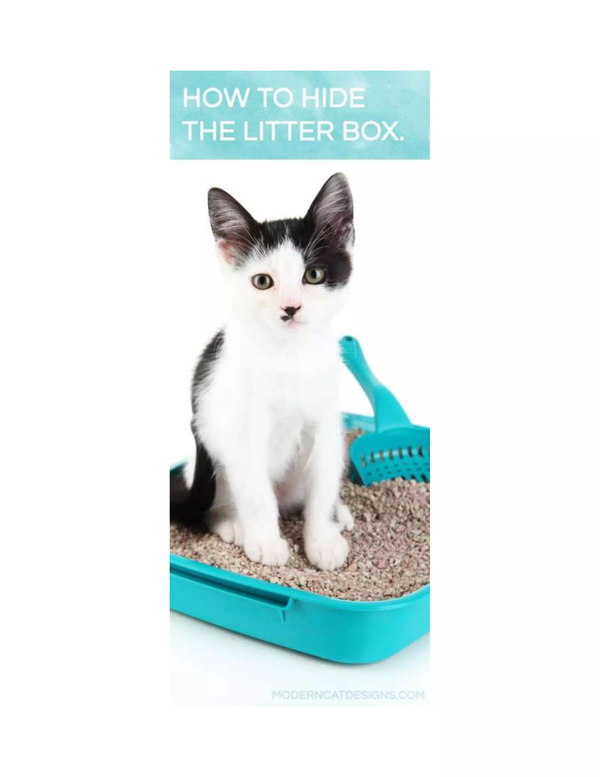 How to Hide the Litter Box | DOCX