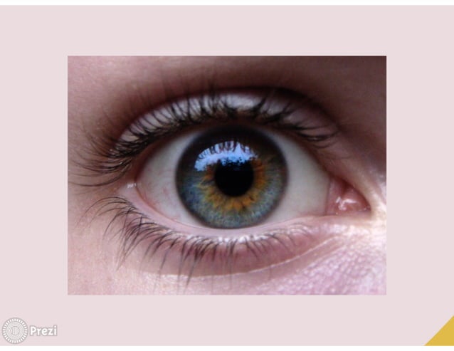 Heterocromía como causa de la mutación genetica | PDF