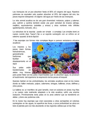 comunidades acuaticas | DOCX