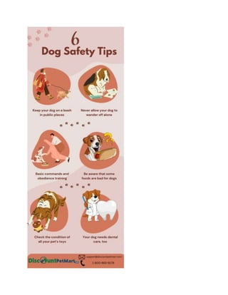 6 Dog Safety Tips You Should Know | DOCX