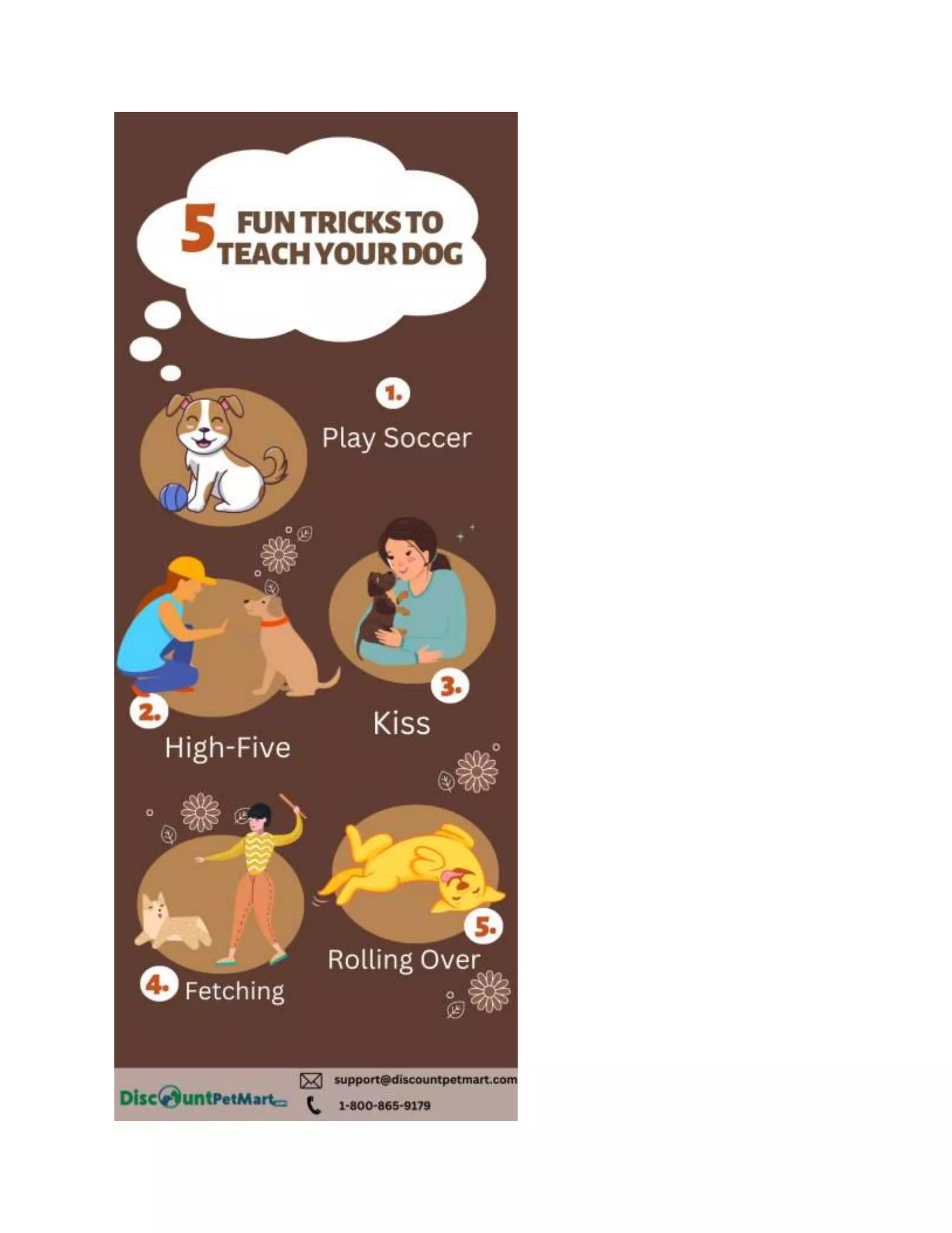 5 Fun Tricks To Teach Your Dog | DOCX