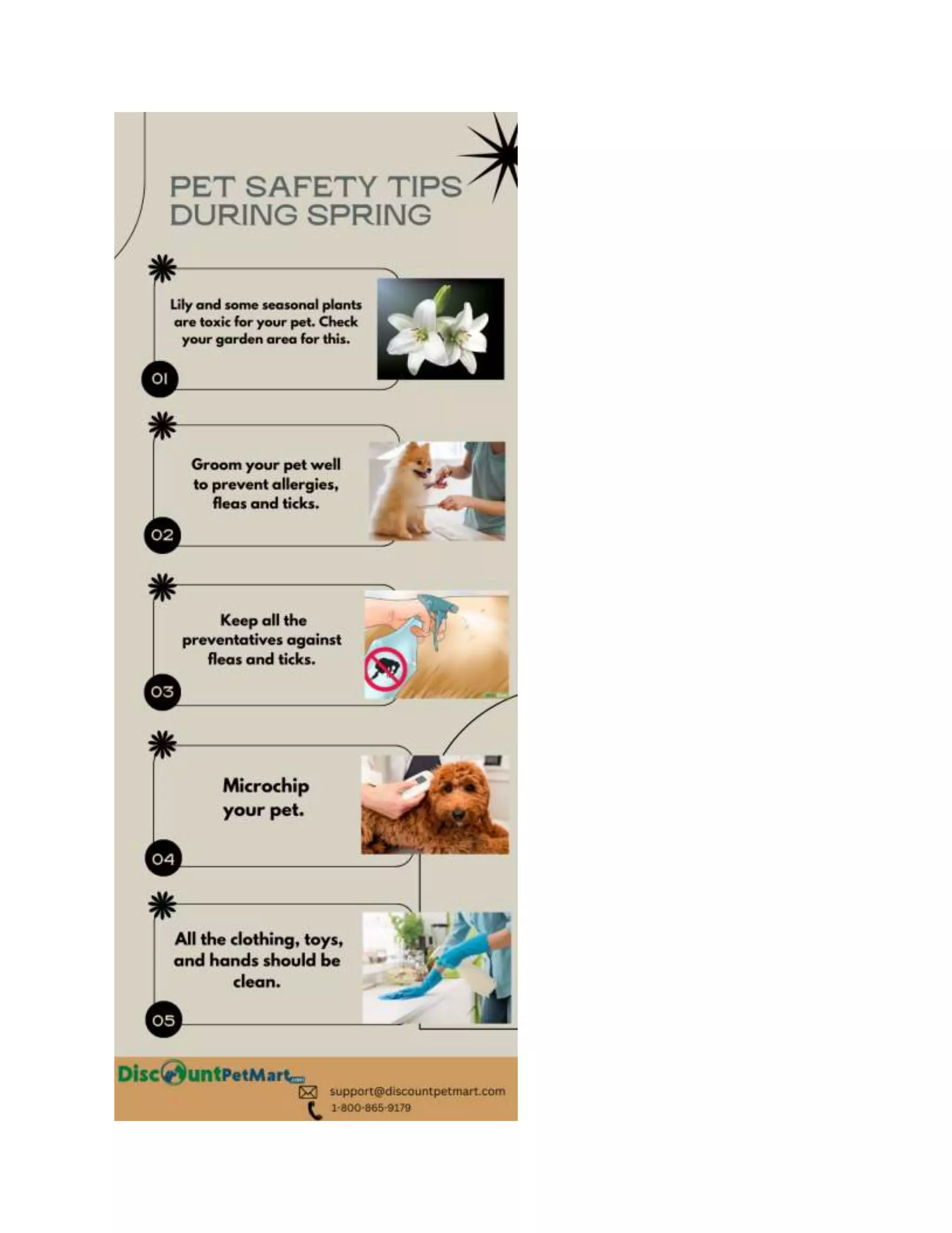 Pet Safety Tips During Spring | DOCX