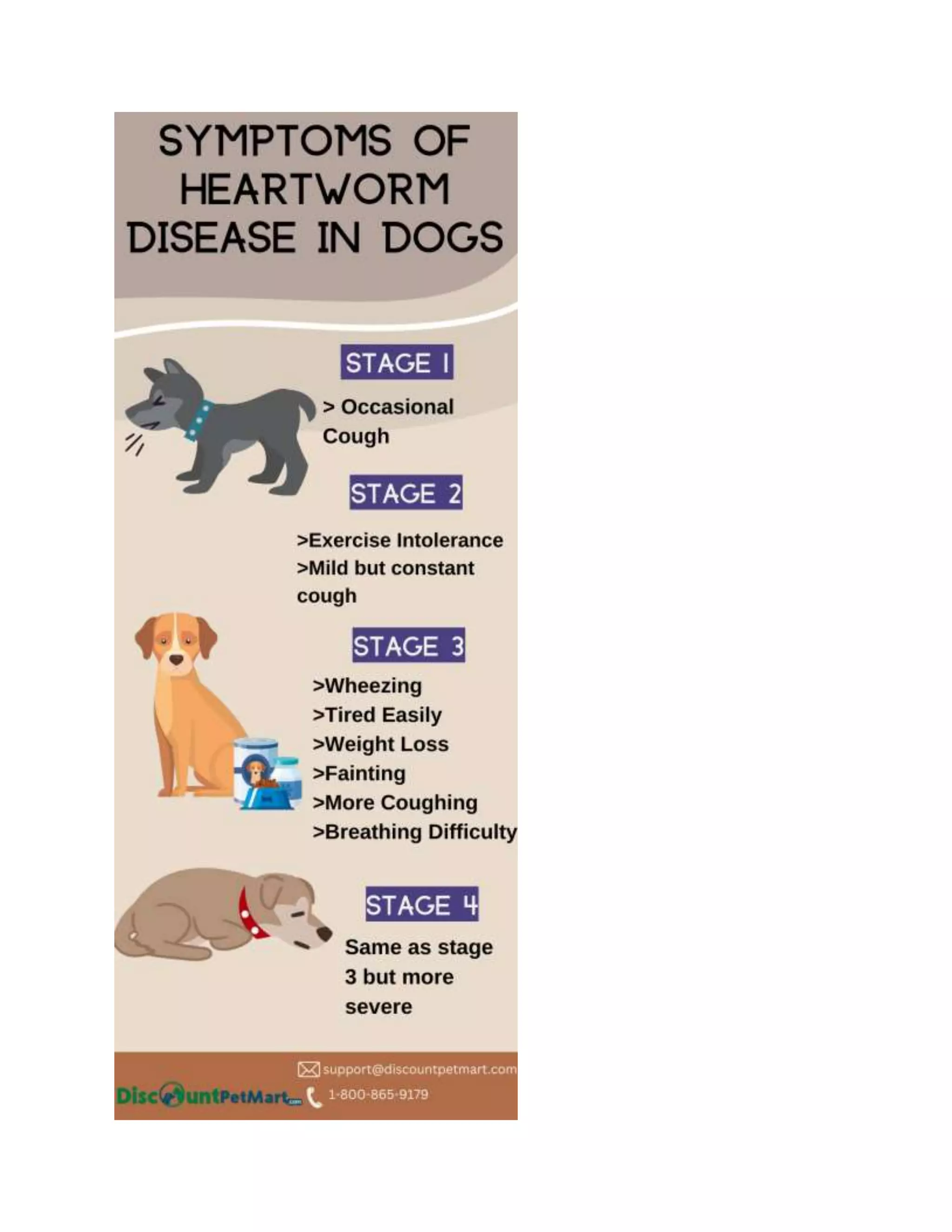 Symptoms of Heartworm Disease in Dogs | DOCX