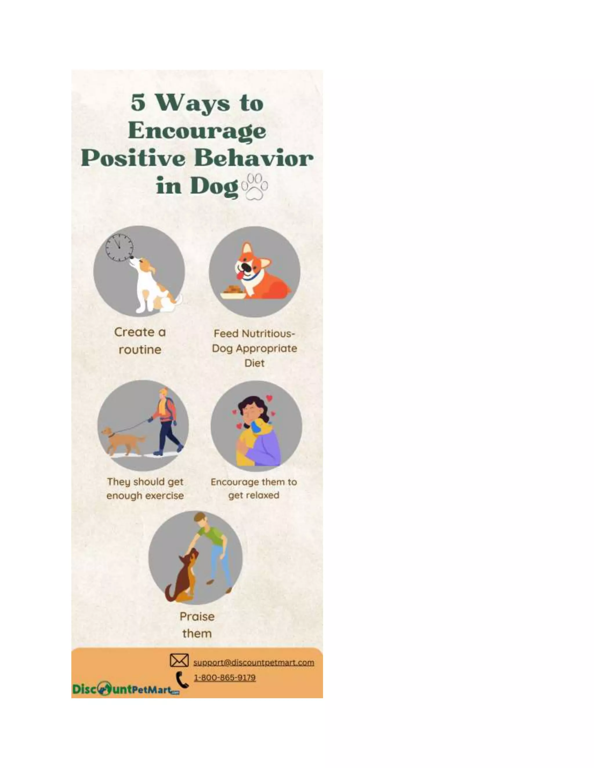 5 Ways to Encourage Positive Behavior in Dog | PDF