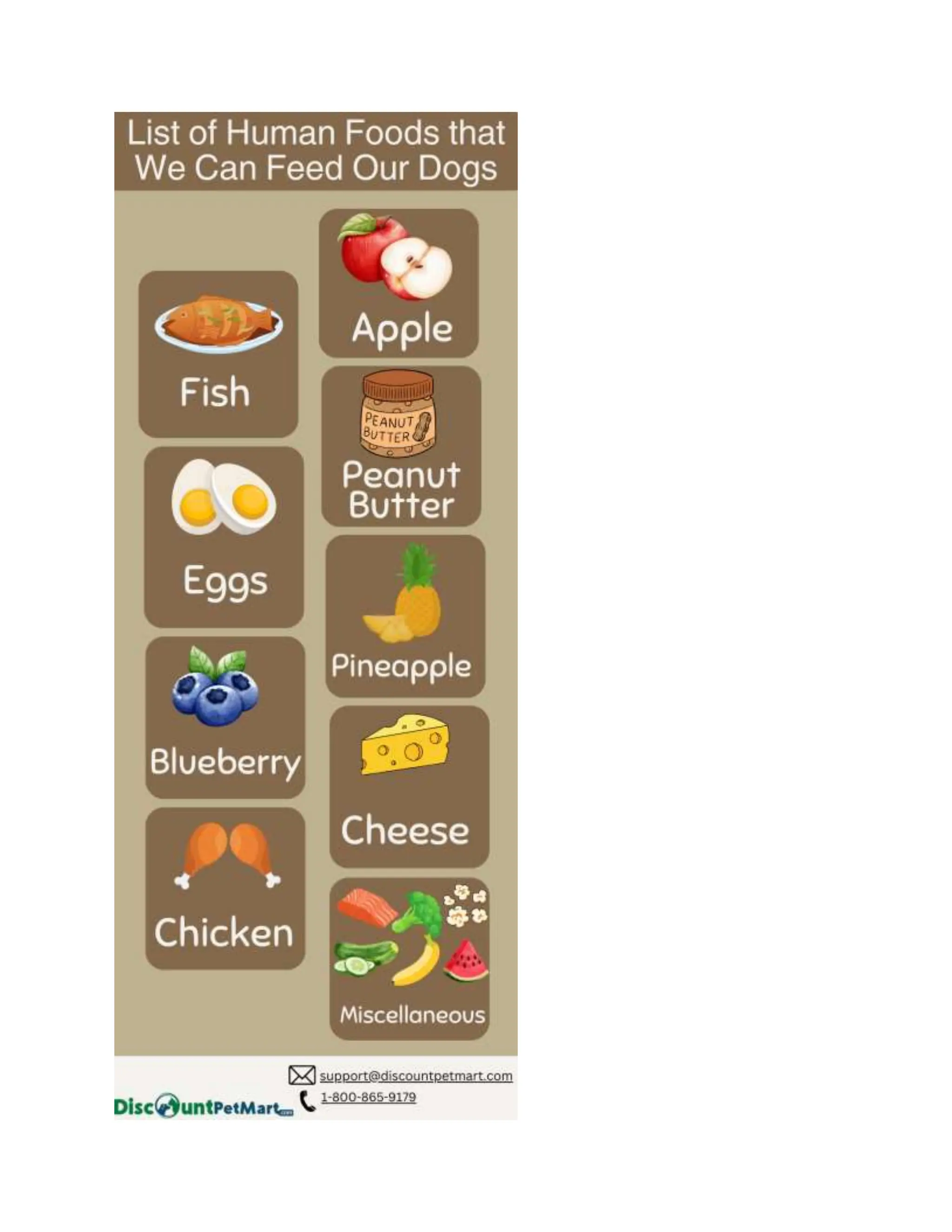 List of Human Foods that We Can Feed Our Dogs | DOCX