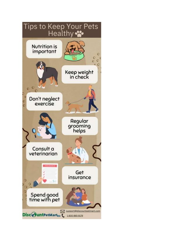 Tips to Keep Your Pets Healthy | PDF