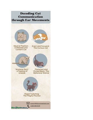 Unraveling Feline Mysteries: Decoding Cat Communication through Ear ...