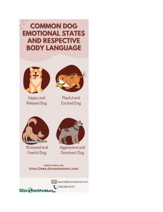 Common Dog Emotional States and Respective Body Language | PDF