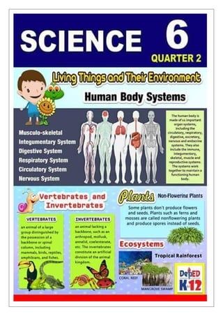 bulletine board design for grade 6...... | DOCX