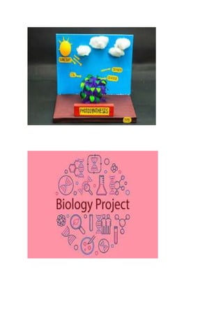 Biology Science Fair Project Ideas|School Topics CBSE | PDF