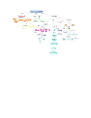 MAPA CONCEPTUAL DE CMAPTOOLS | PDF