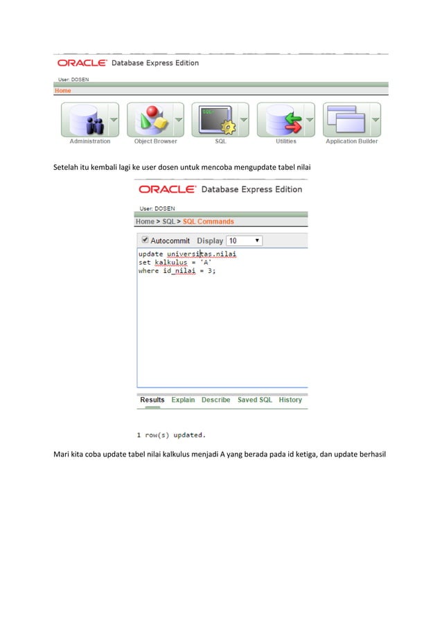 Studi Kasus Basic Security Oracle | PDF