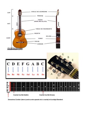 detalii chitara | PDF