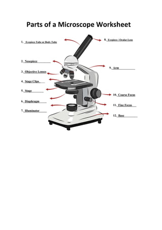 guided discovery through hands-on activities | PDF