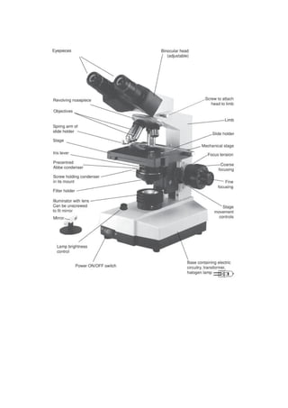 guided discovery through hands-on activities | PDF