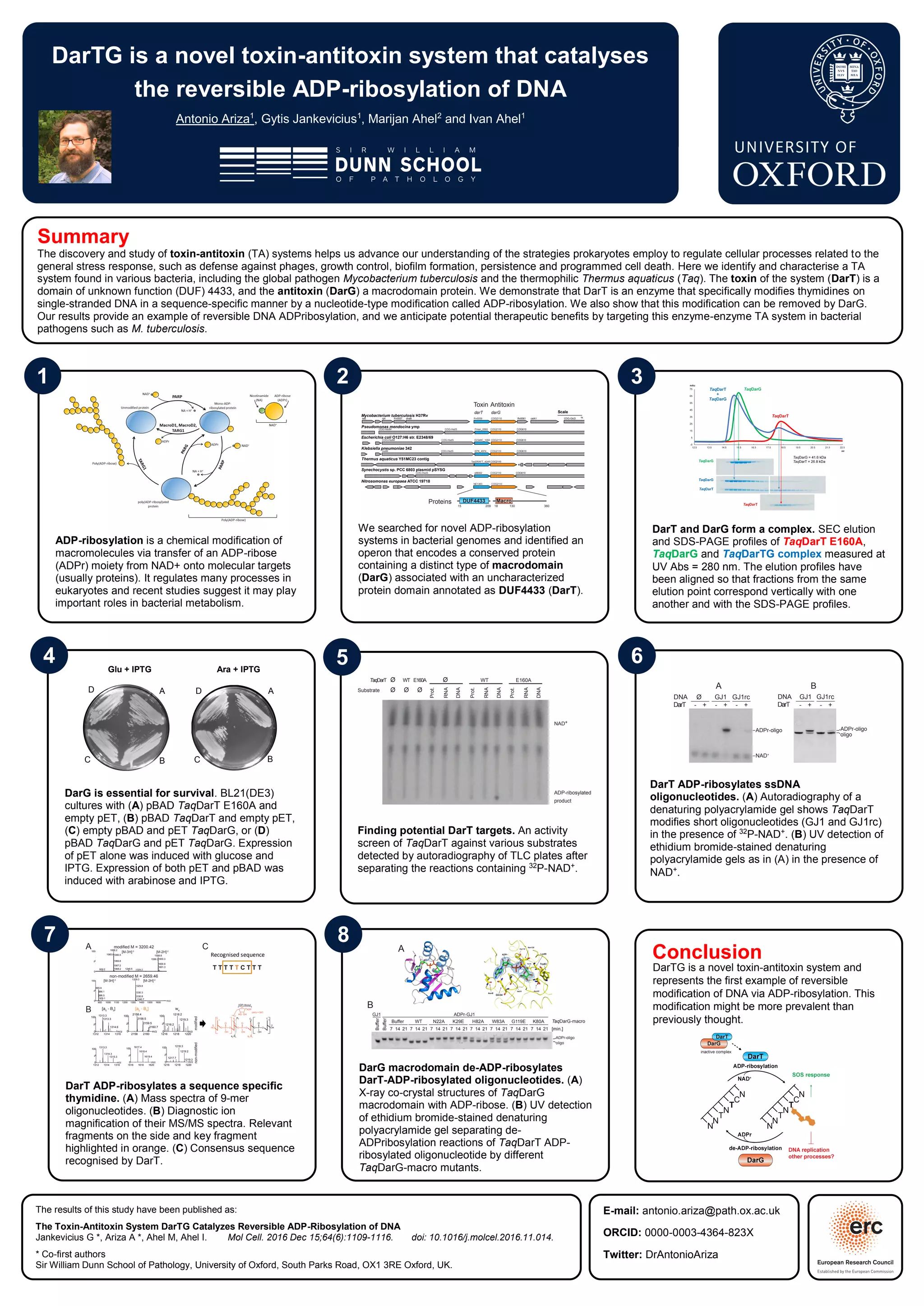 DarTG is a novel toxin-antitoxin system that catalyses the reversible ADP-ribosylation of DNA | PDF