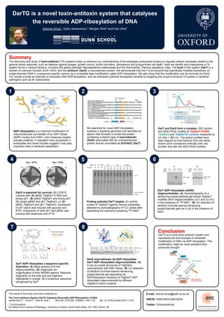 DarTG is a novel toxin-antitoxin system that catalyses the reversible ...