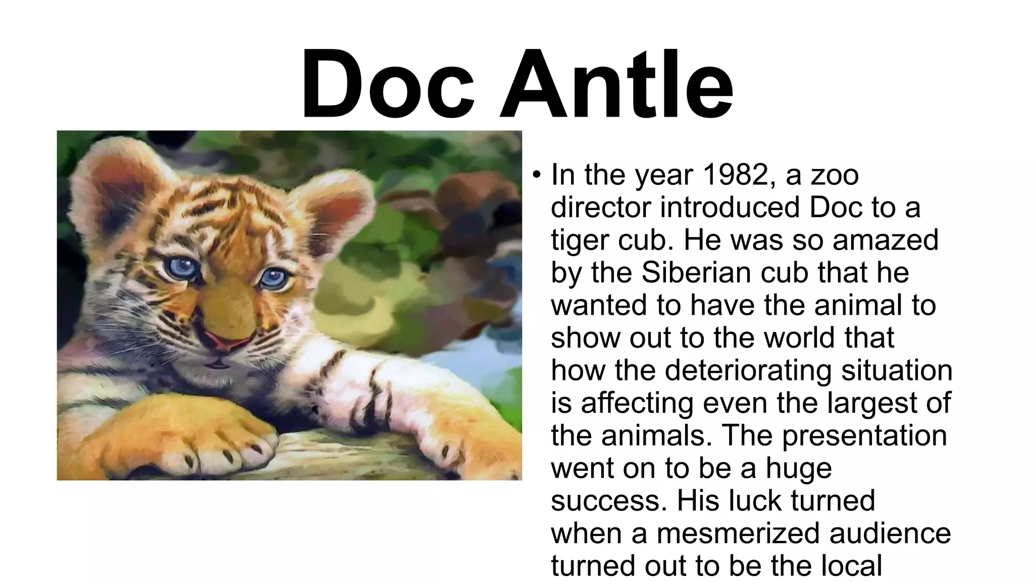 Doc antle $ T.I.G.E.R.S. | PPT