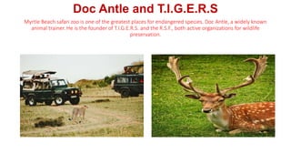 Doc antle $ T.I.G.E.R.S. | PPT